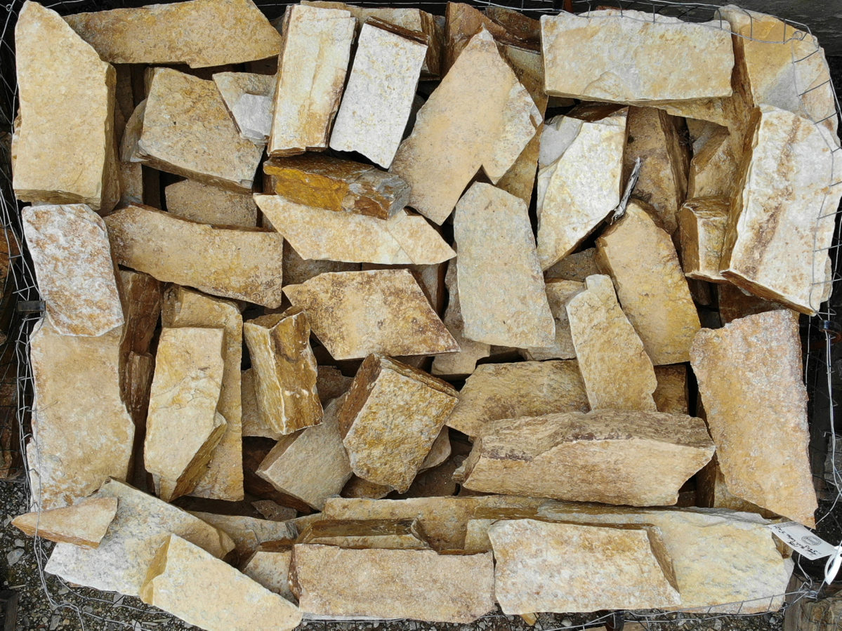 Gold Rush Ledgestone - Clearview Nursery
